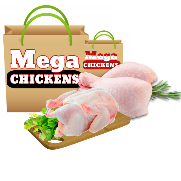 About – Mega Chickens