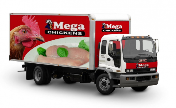 Mega Chickens – Chickens