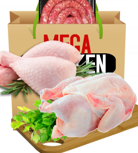 About – Mega Chickens