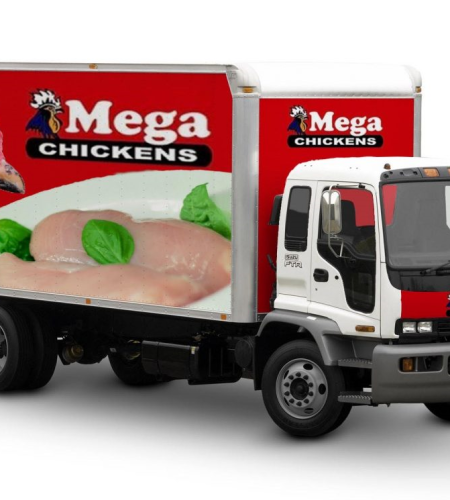 About – Mega Chickens